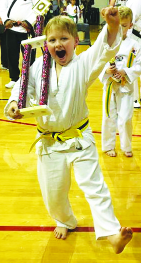 Locals earn martial arts awards | Davie County Enterprise Record