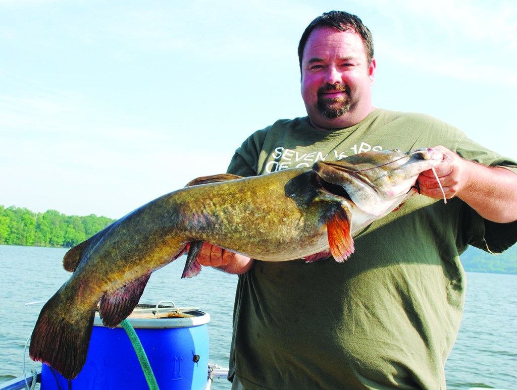 Catfish rise from the depths of no respect - Davie County Enterprise ...